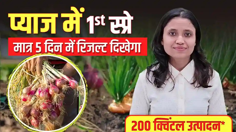 Onion Spray for Plants | 1st Spray with Katyayani Dr. Zole