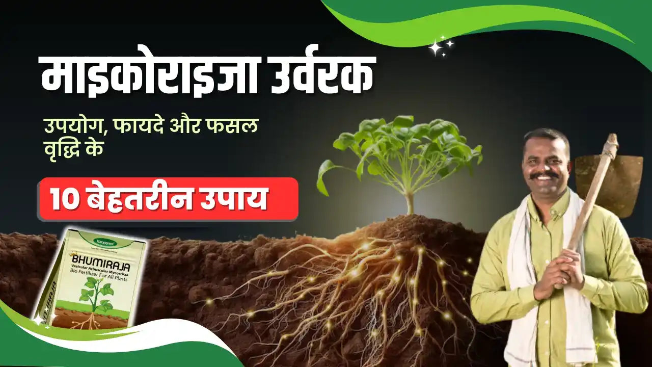 7 Ways to use Mycorrhiza Fertilizer For Sustainable Farming