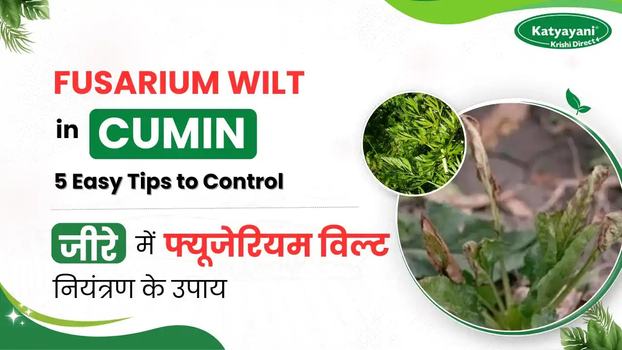 Fusarium Wilt Chemical Control
