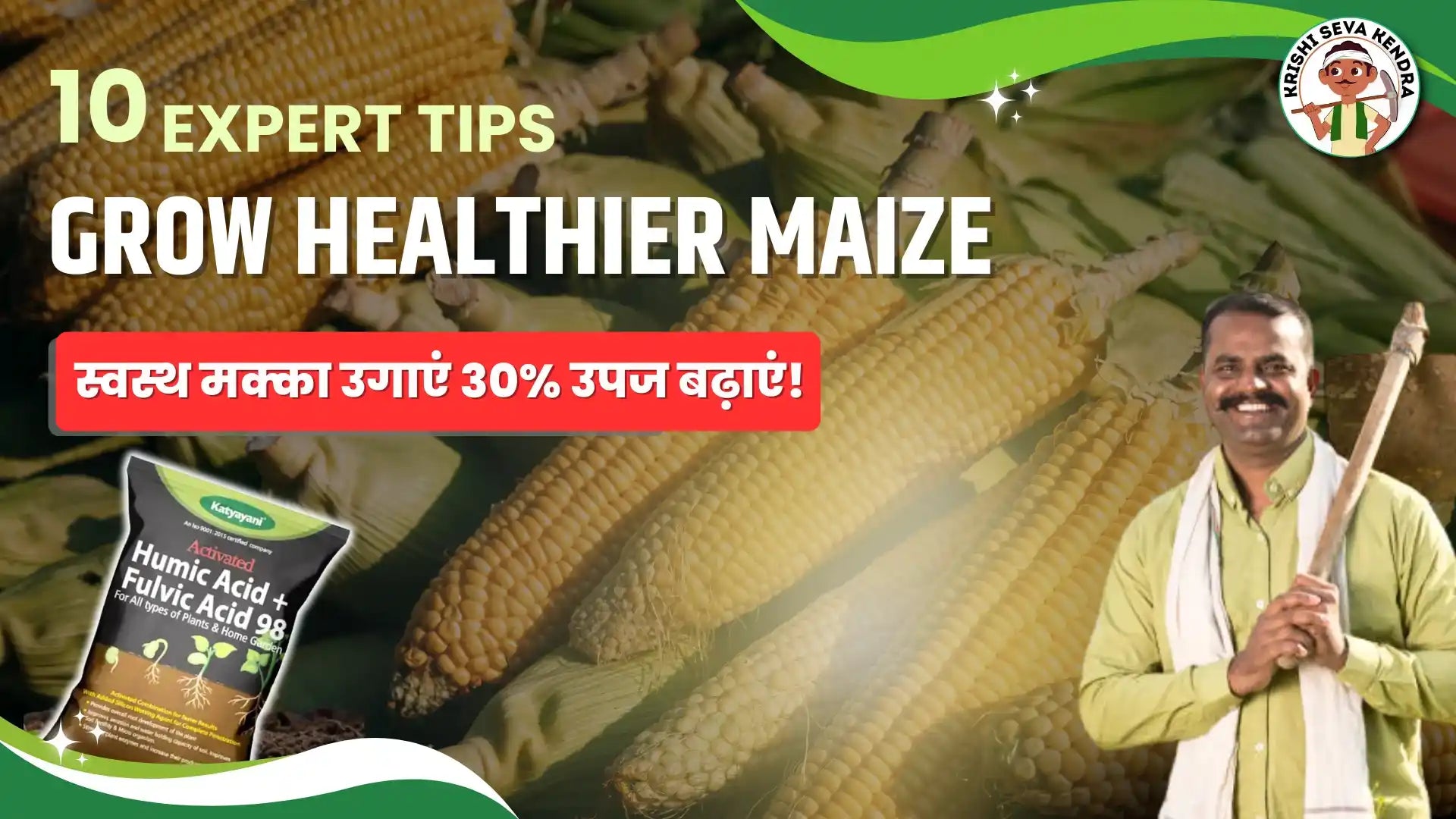 How to Increase Maize Yield Per Acre – 5 Proven Tips