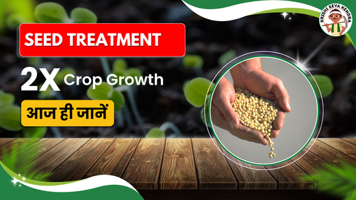Top Benefits of Seed Treatment: Protect Crops, Boost Productivity