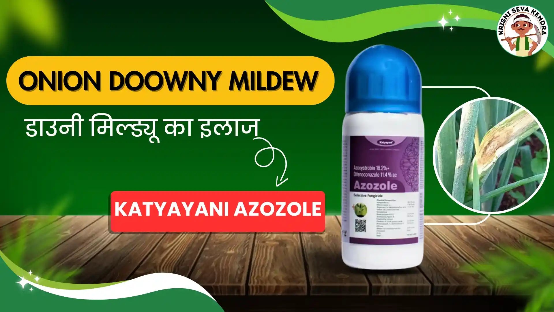 Onion Downy Mildew: Spot Symptoms & Treat Effectively