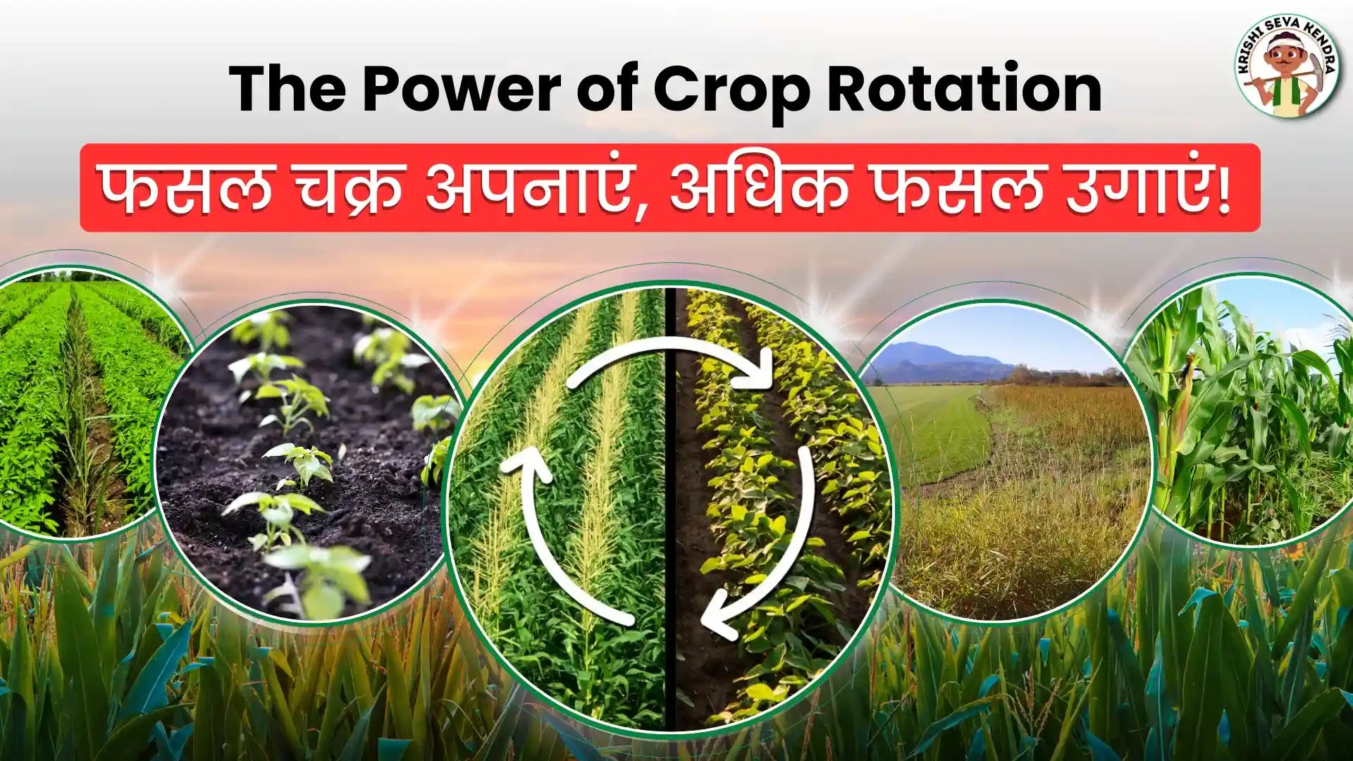 Crop Rotation Benefits | Better Soil & Better Crops