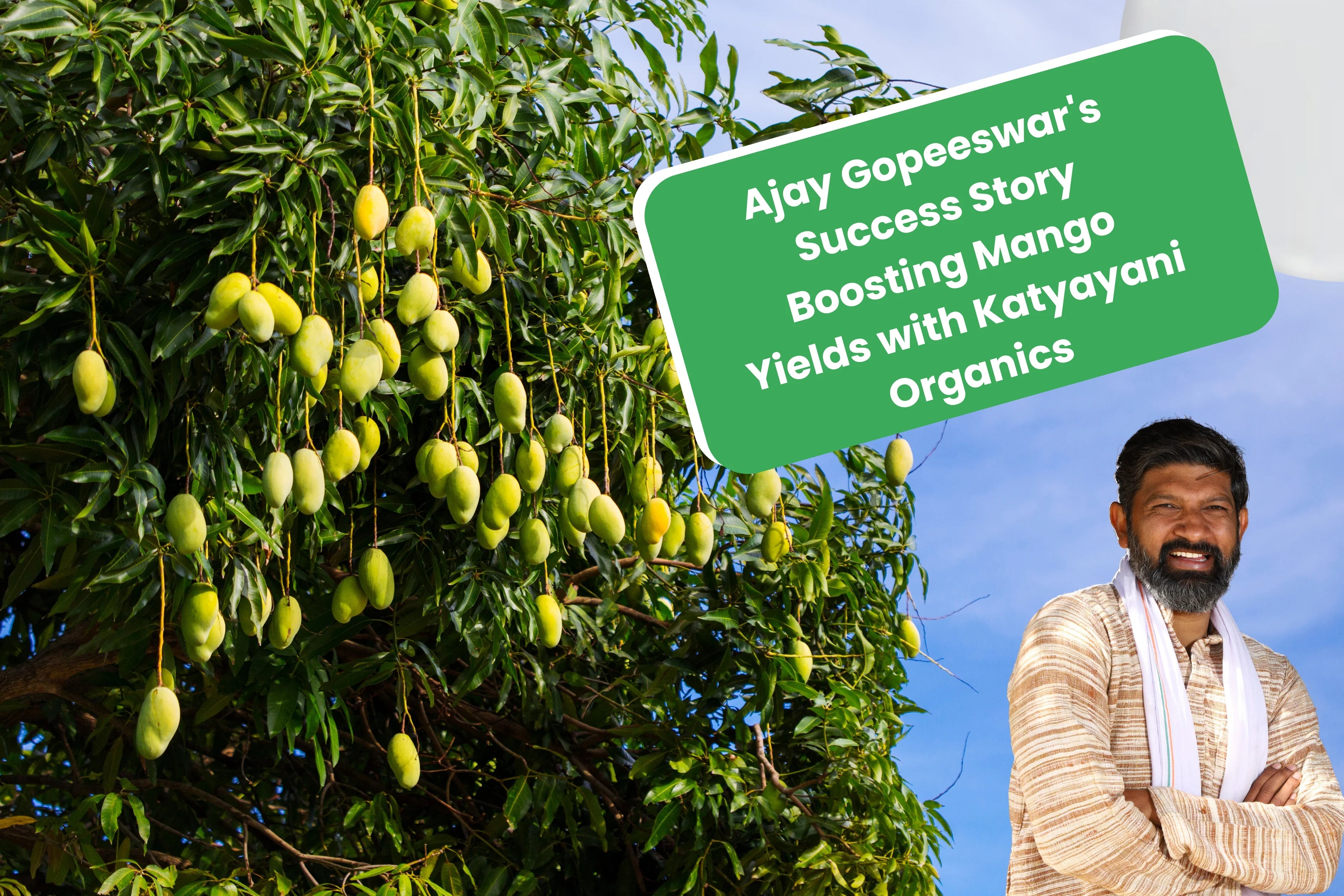 Transforming Mango Cultivation: Katyayani Organics' Success Story