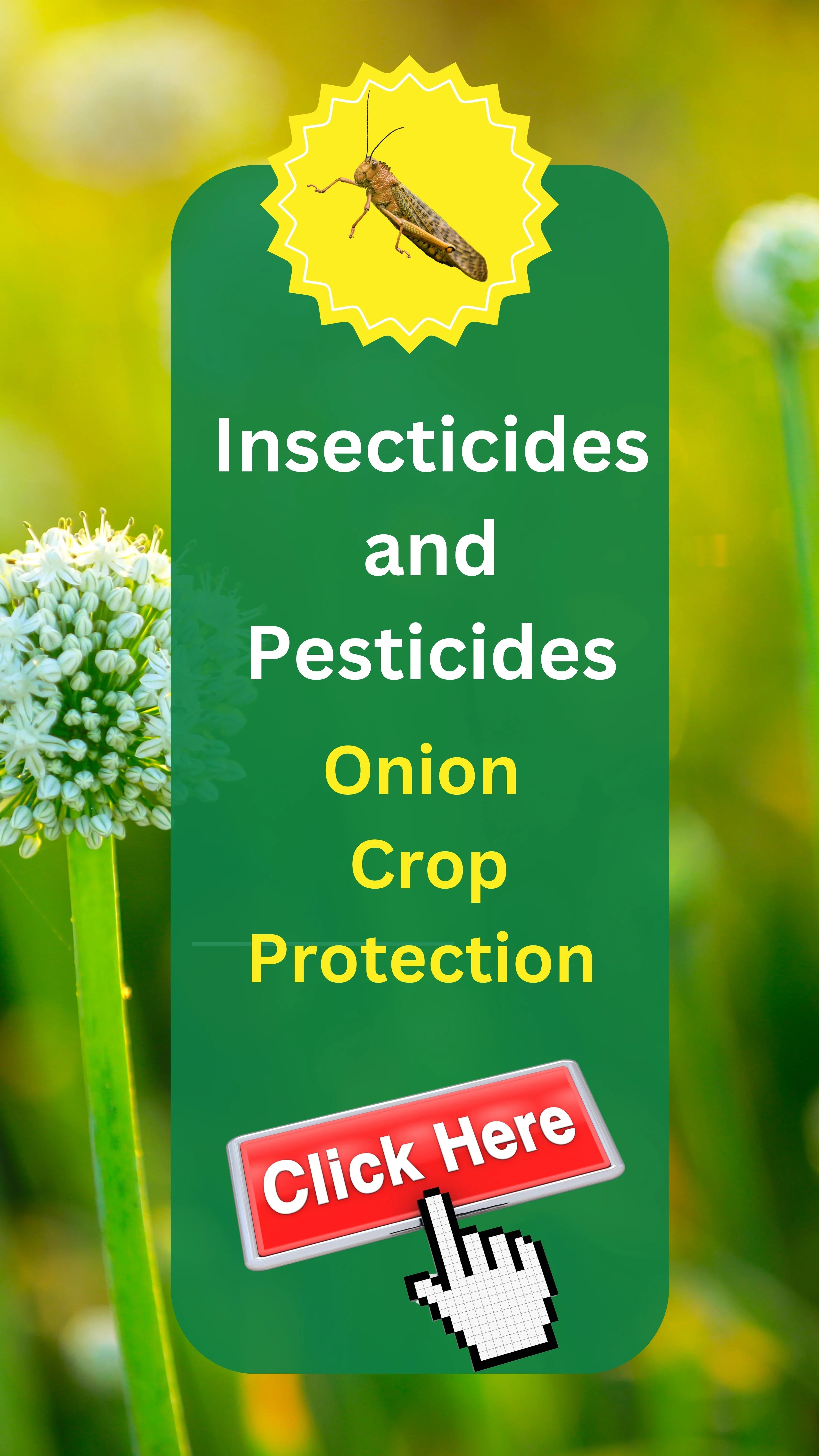 Buy Best Onion Pesticide/Onion Insecticide! Starting at ₹250